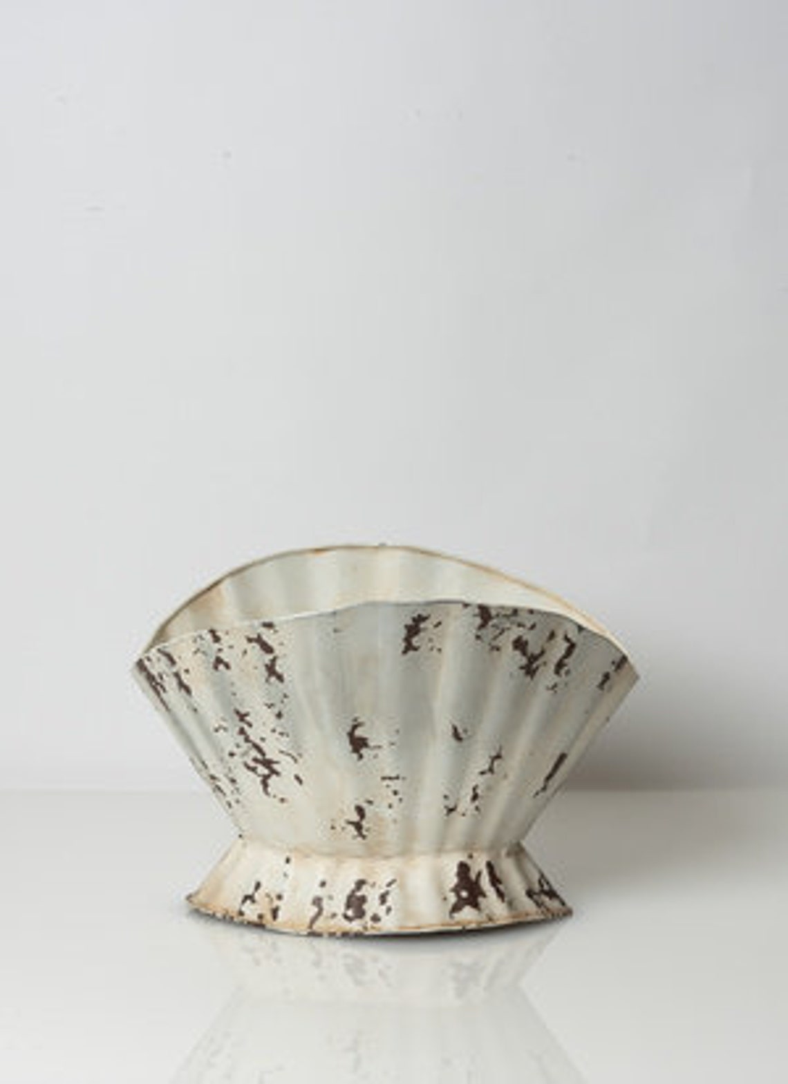 Blue Clamshell Pot Plant Decor for the Beach House Tin | Etsy