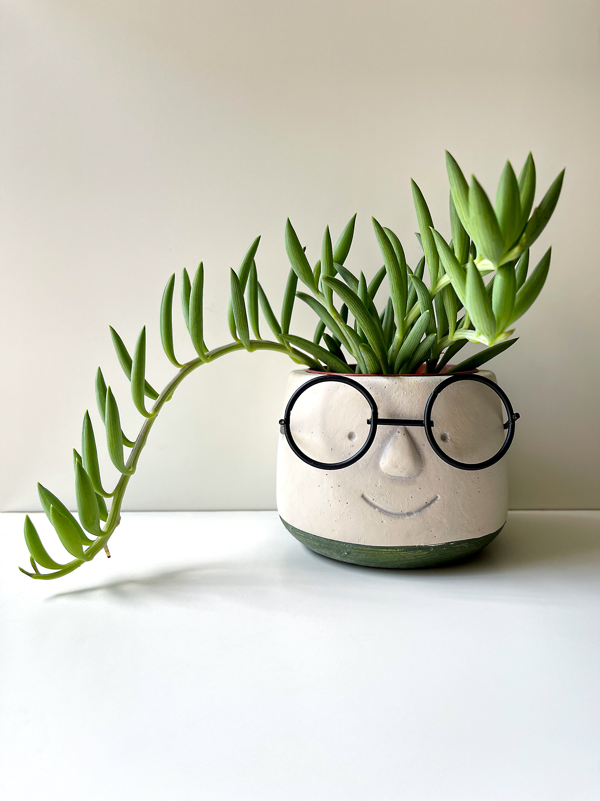 Small Face Pot With Eye Glasses ~ Head Planter ~ Nerd ~ Head Pot ...