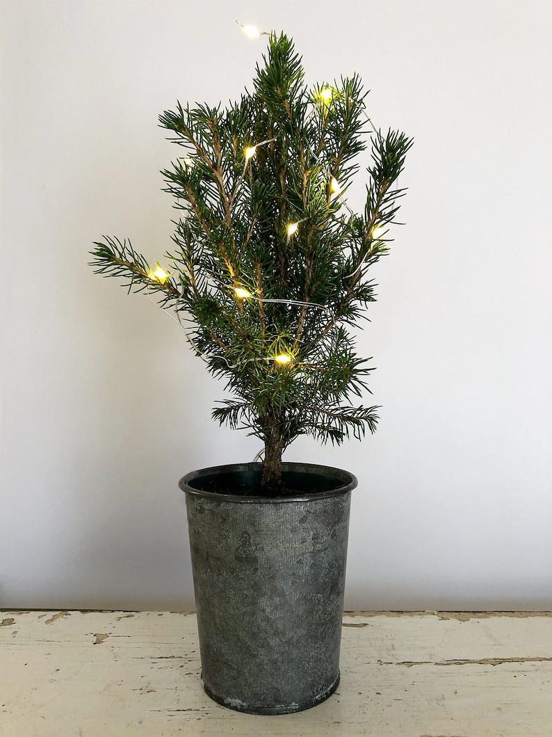 Copper Wire Lights Fairy Lights Mini Lights Christmas | Etsy