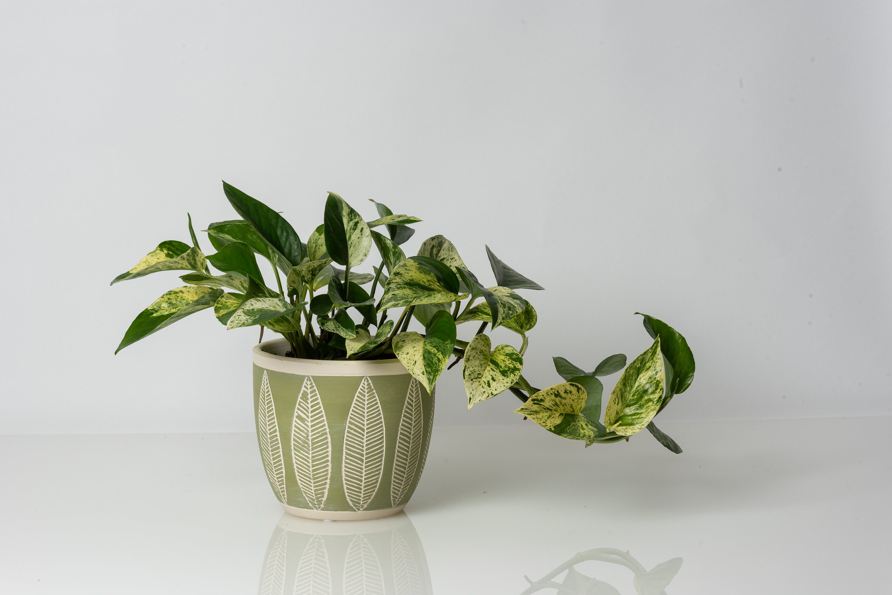 Small Green Leaf Pot 4 Inch Pot 4 Inch Planter Etched Leaf - Etsy