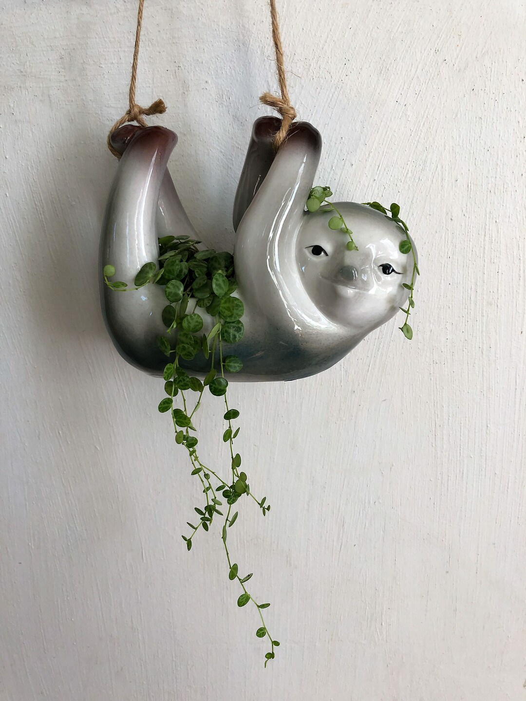 Hanging Sloth Planter, Succulent Planter, Sloth Pot, Sloth, Hanging ...