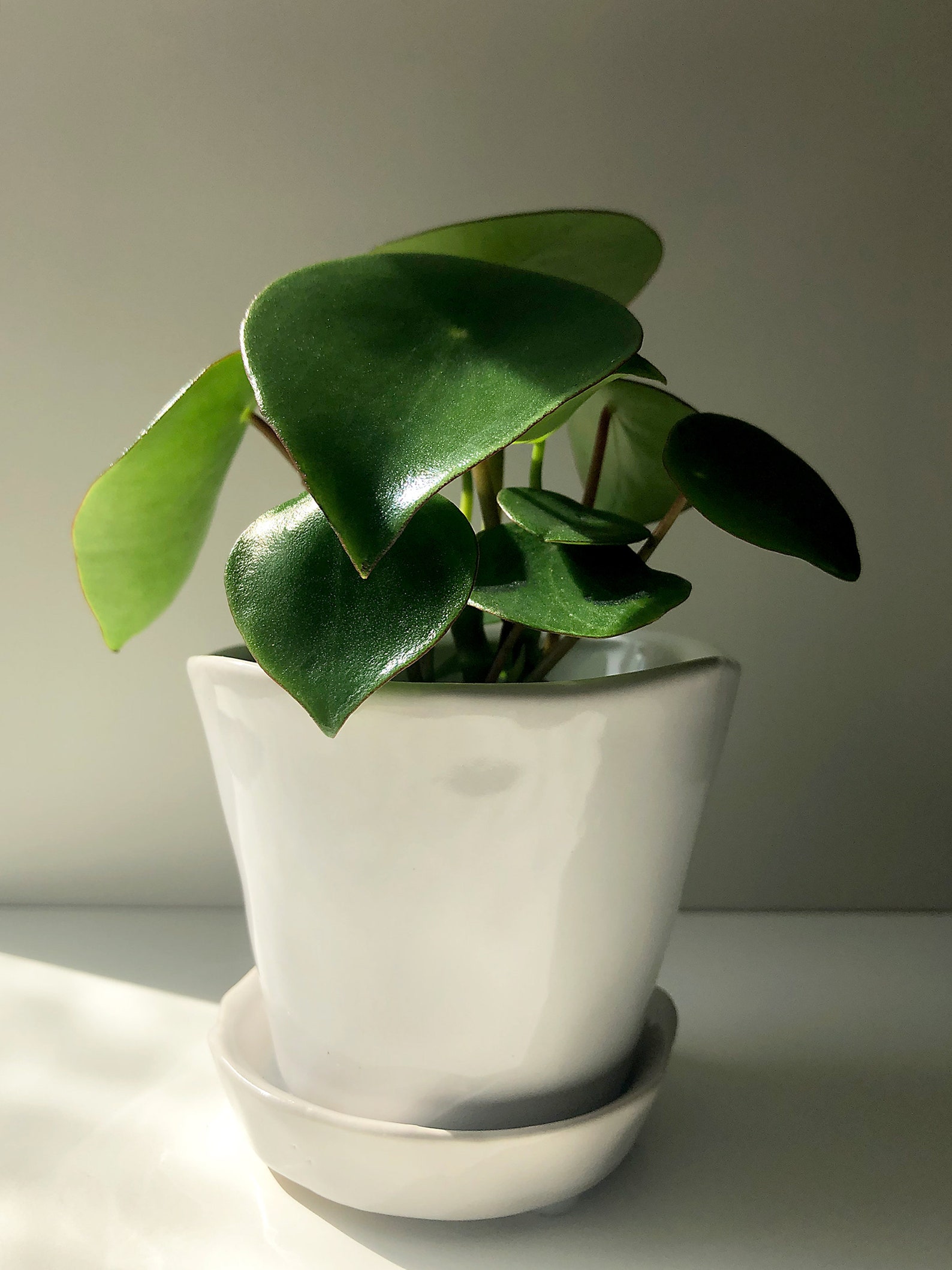 Small White Ceramic Planter With Saucer Small Planter Small - Etsy