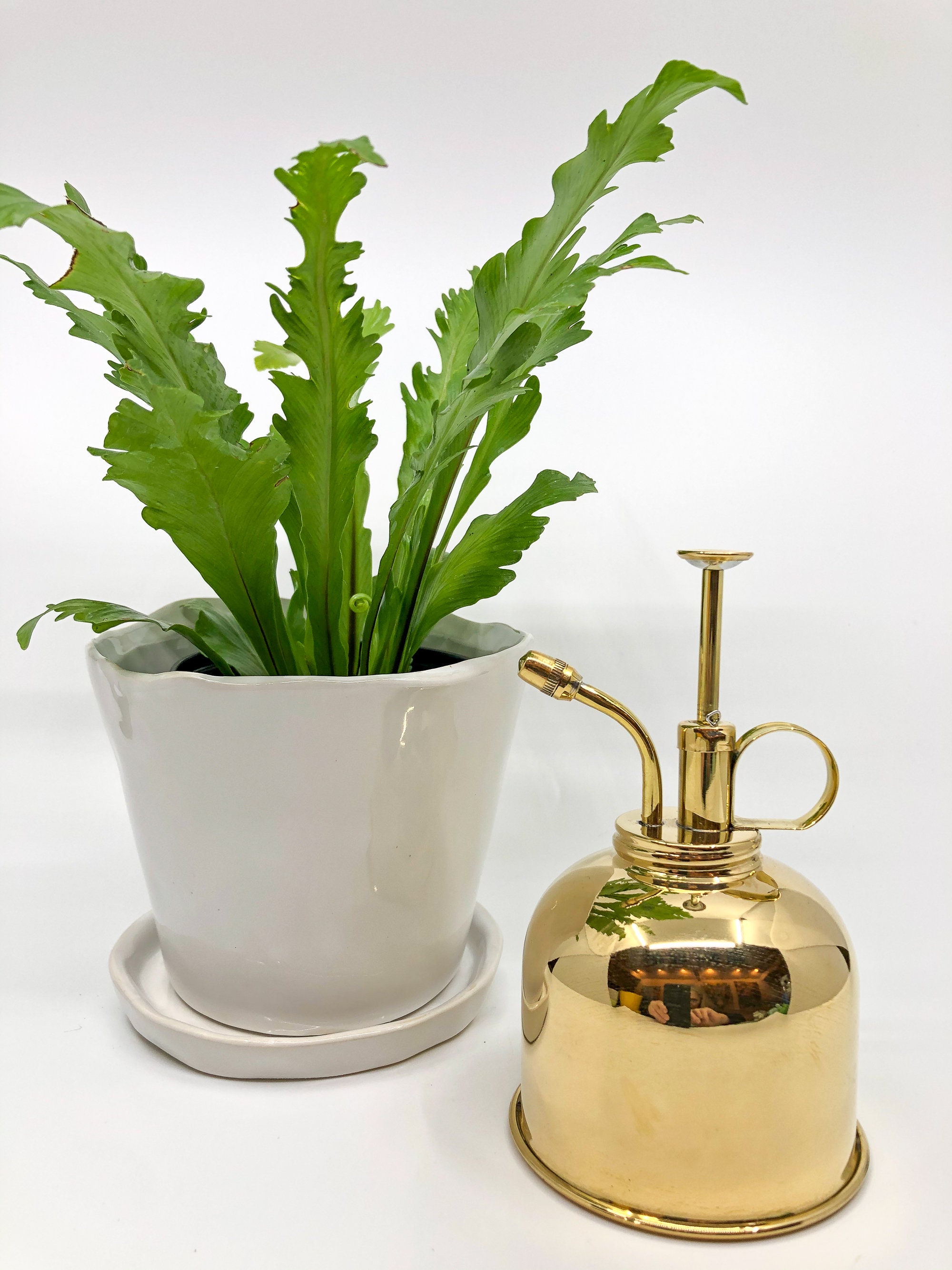Super Deluxe Brass Plant Mister Creates Fine Mist Fully - Etsy