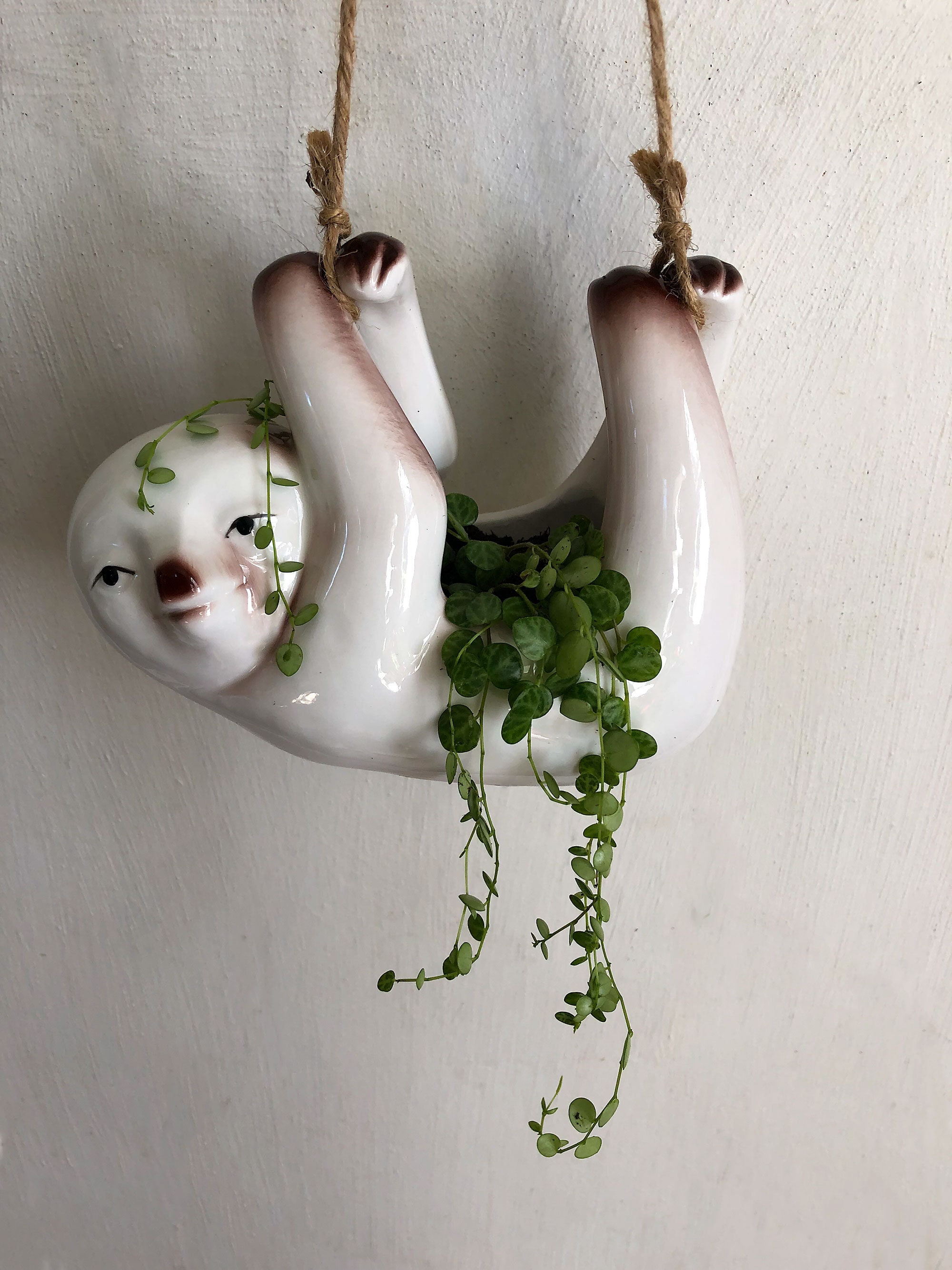 Hanging Sloth Planter Succulent Planter Sloth Pot Sloth | Etsy