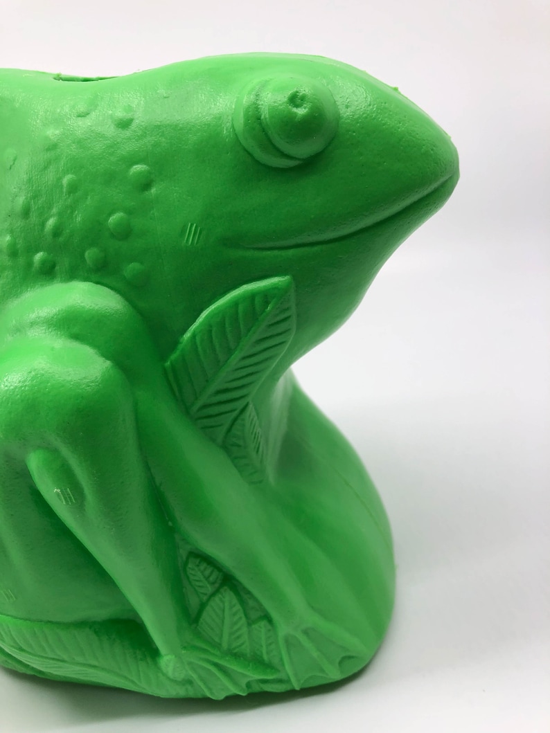 Frog Watering Can, Frog, Fun Watering Can, Cute Watering Can, Plastic ...