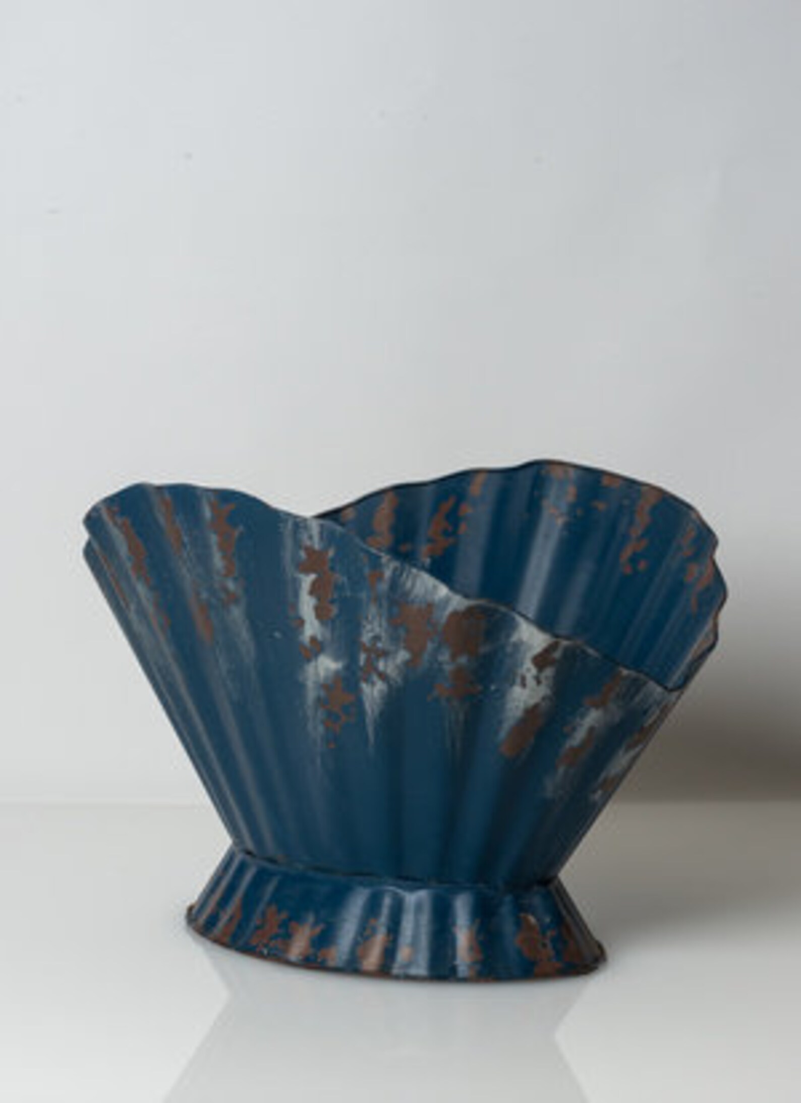 Blue Clamshell Pot Plant Decor for the Beach House Tin | Etsy