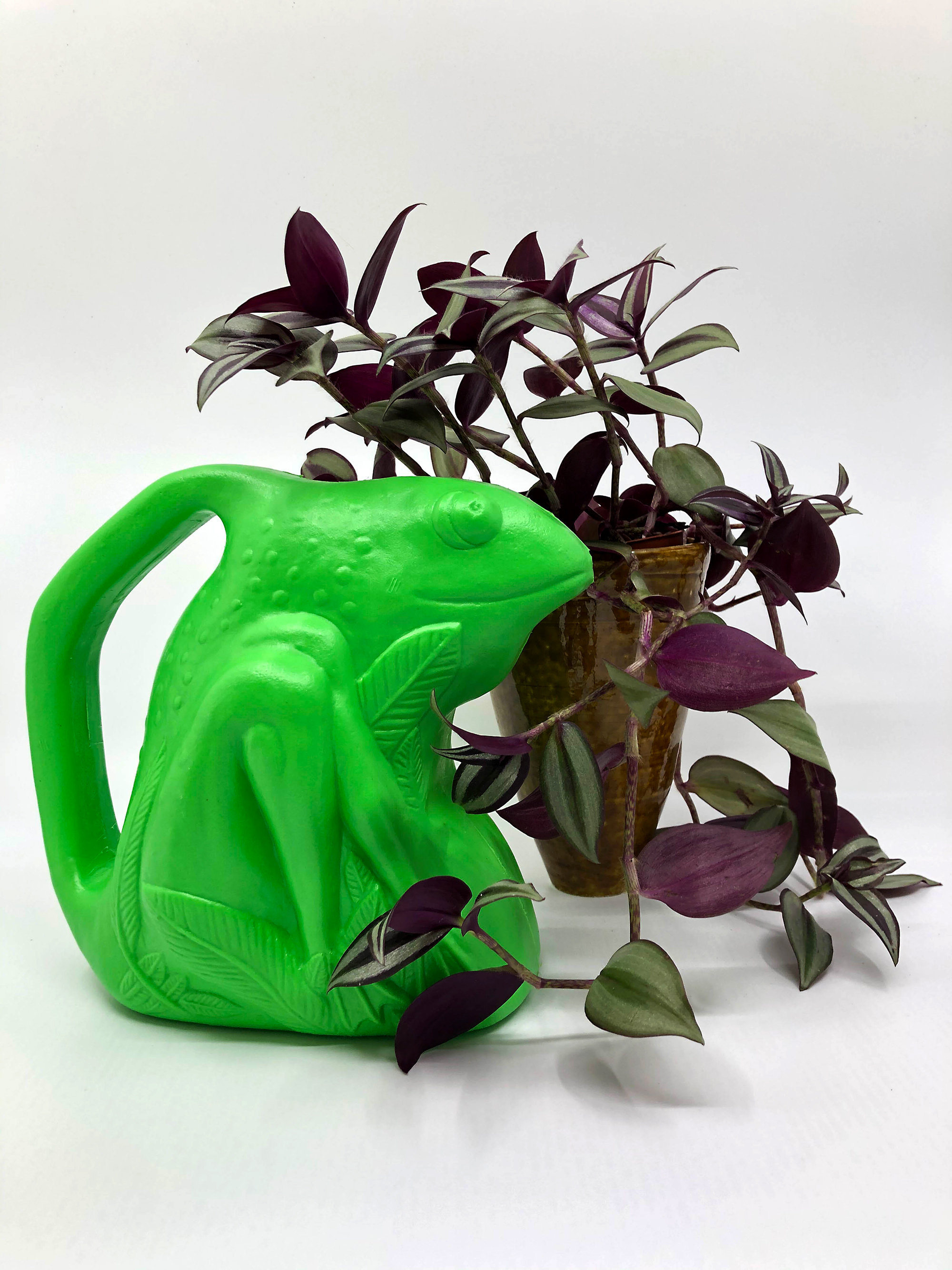 Frog Watering Can, Frog, Fun Watering Can, Cute Watering Can, Plastic ...