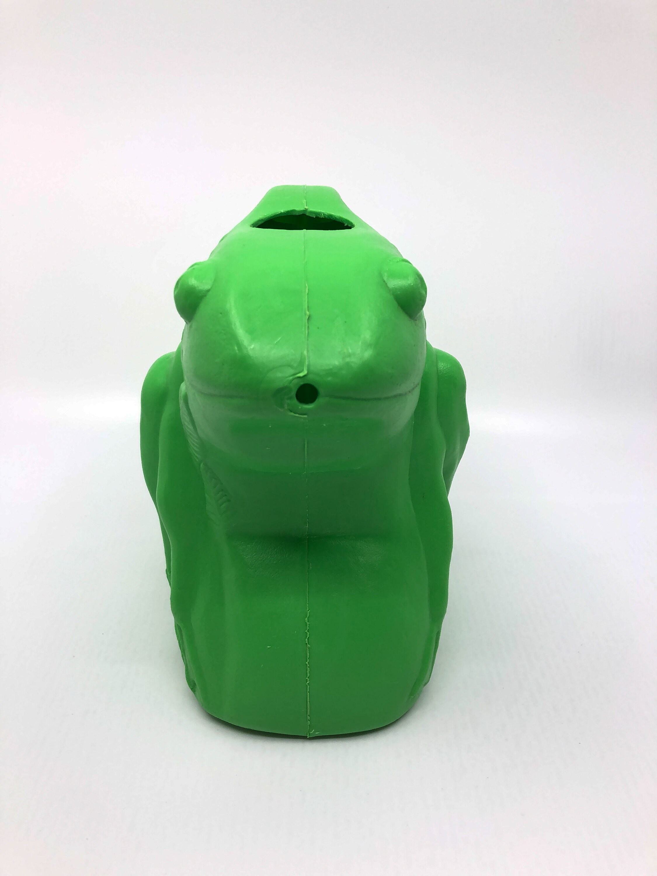 Frog Watering Can, Frog, Fun Watering Can, Cute Watering Can, Plastic ...