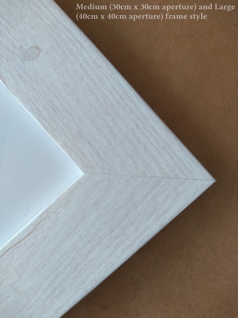 Reggie Robin Limited Edition Print, Bird Wildlife Print, Robin ...