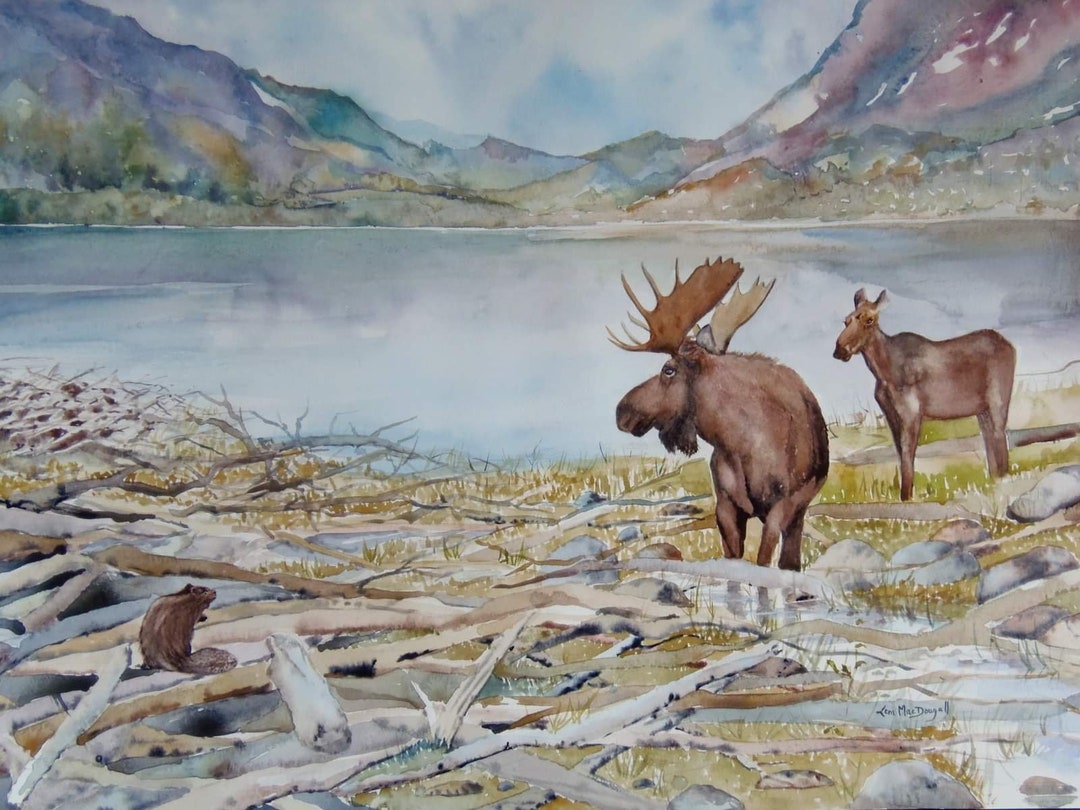 Custom Animal Wild Life Wall Art Landscape Bull Cows Deer Seagulls ...