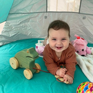 Wooden Pull Frog - Etsy