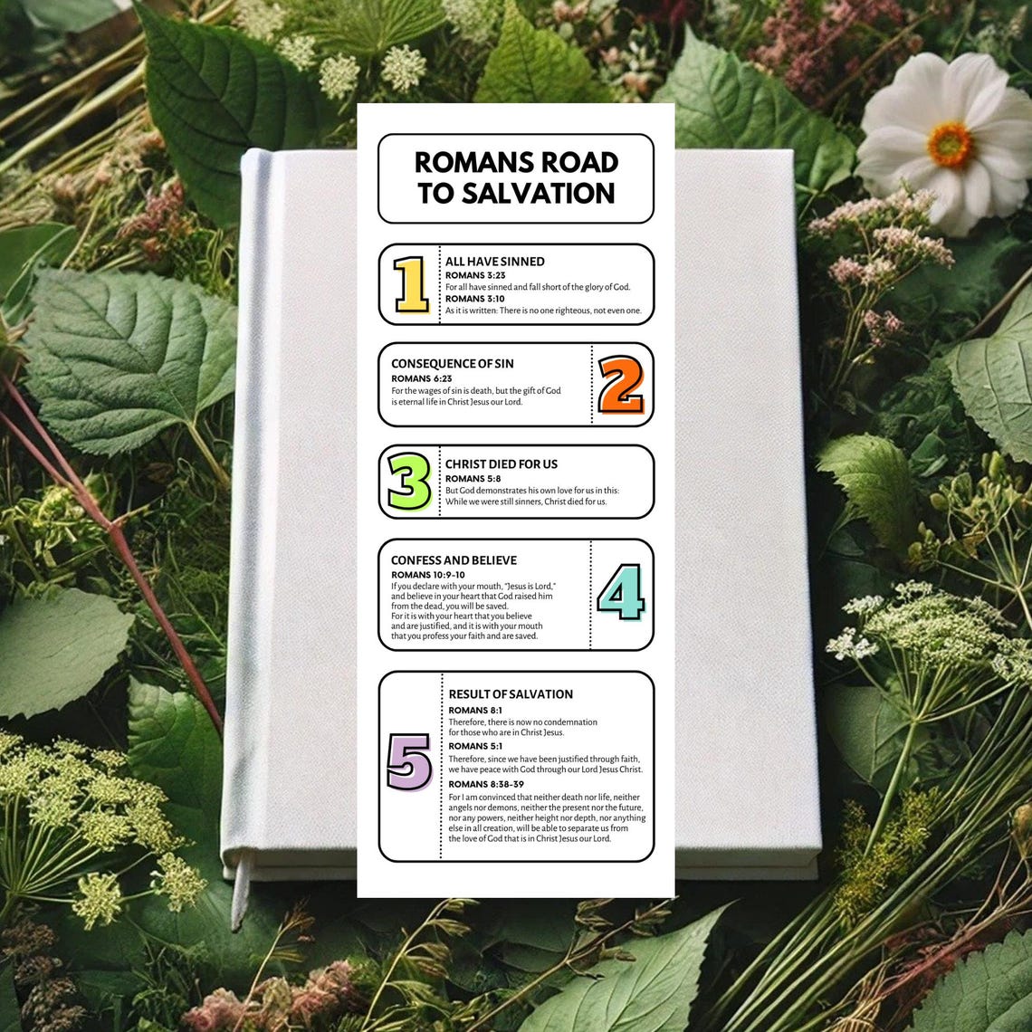 Romans Road to Salvation Infographic | Digital Download for Bible Study ...