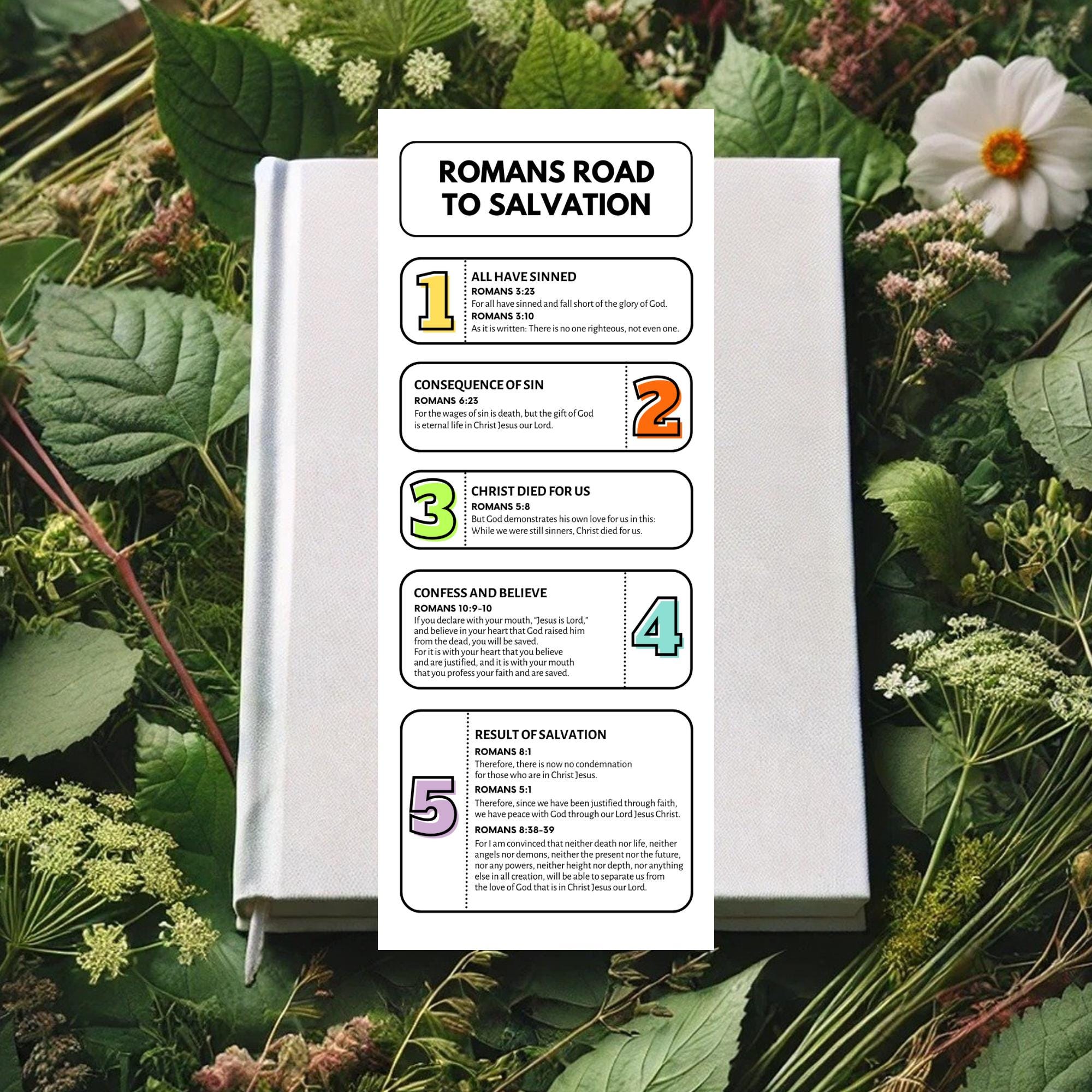 Romans Road to Salvation Infographic | Digital Download for Bible Study ...