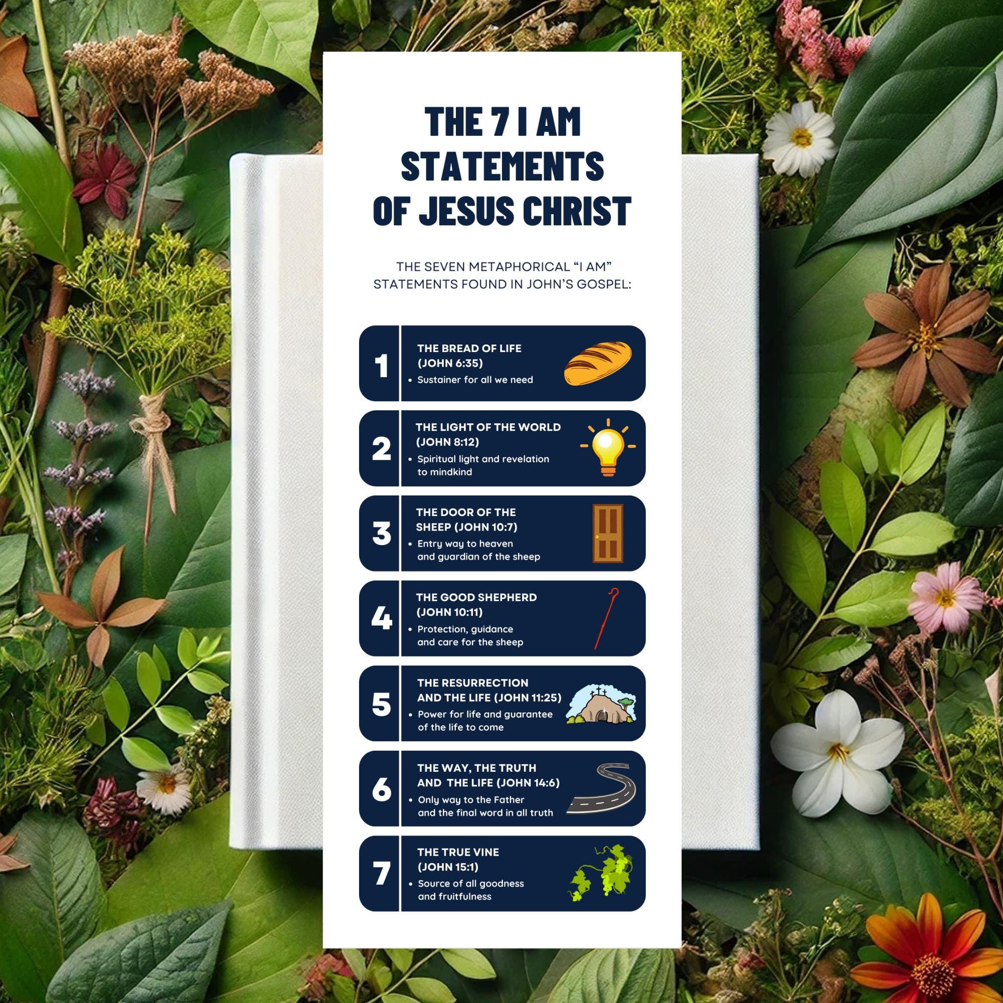 The Seven I AM Statements of Jesus Infographic | Digital Download for ...