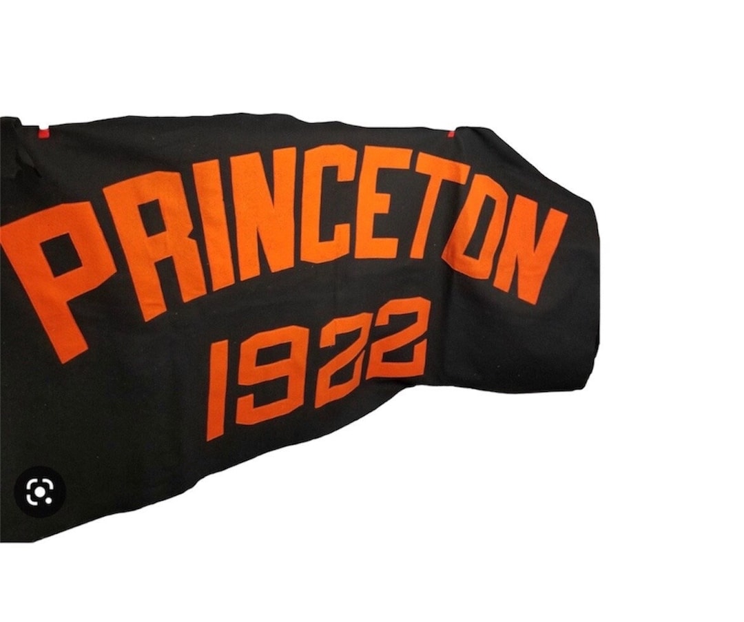 1922 Princeton Banner Antique Princeton Memorabilia Large Felt College ...