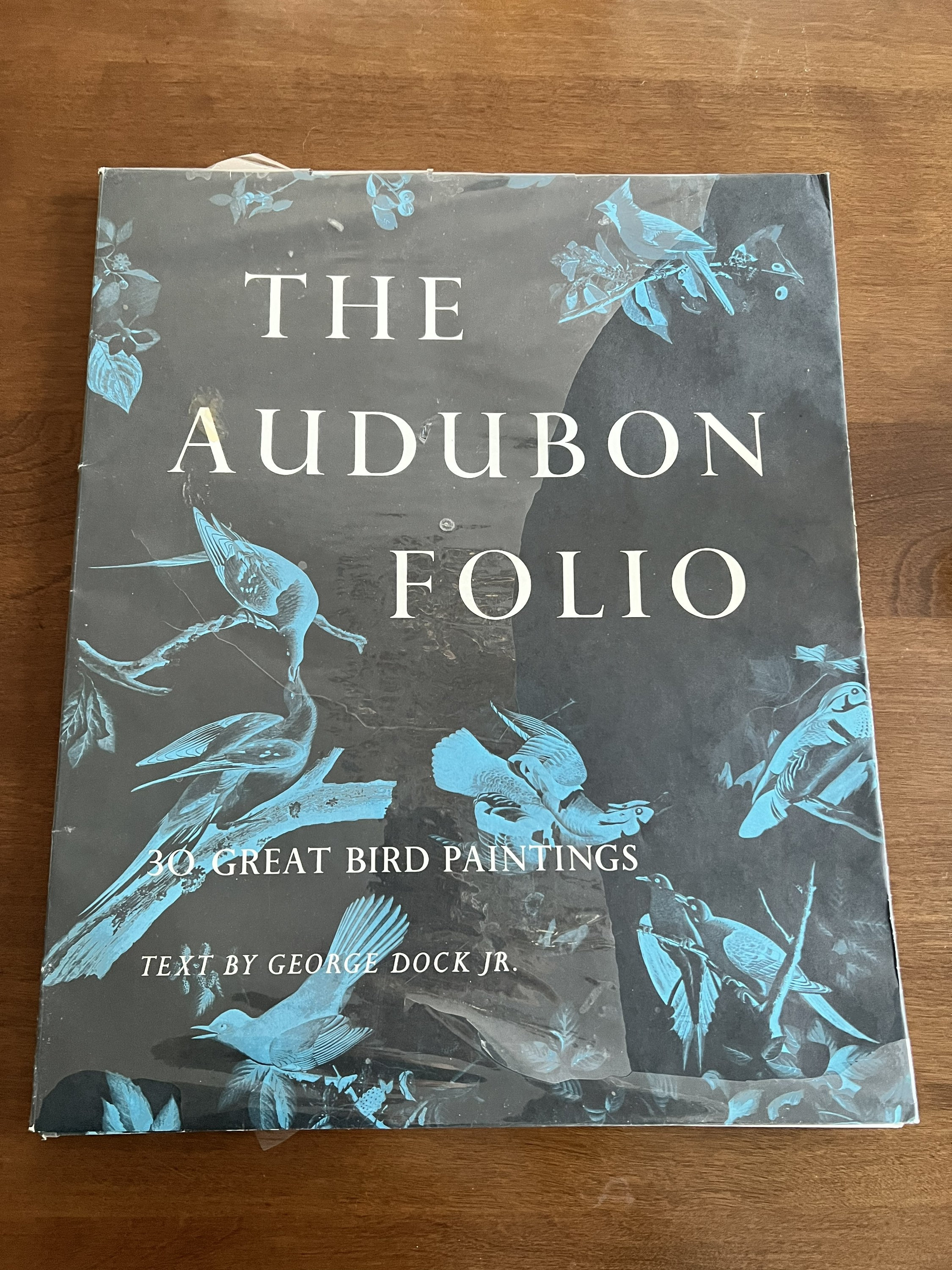 1964 the Audubon Folio 25 Bird Prints in Fantastic Condition 14 X 17 - Etsy