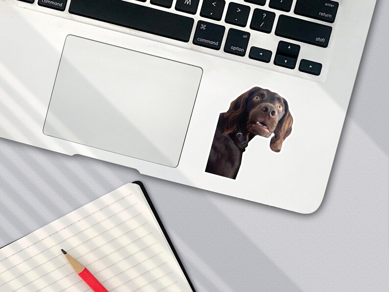 Confused Dog Meme Glossy Decal Sticker for Car, Laptop, Water Bottle ...