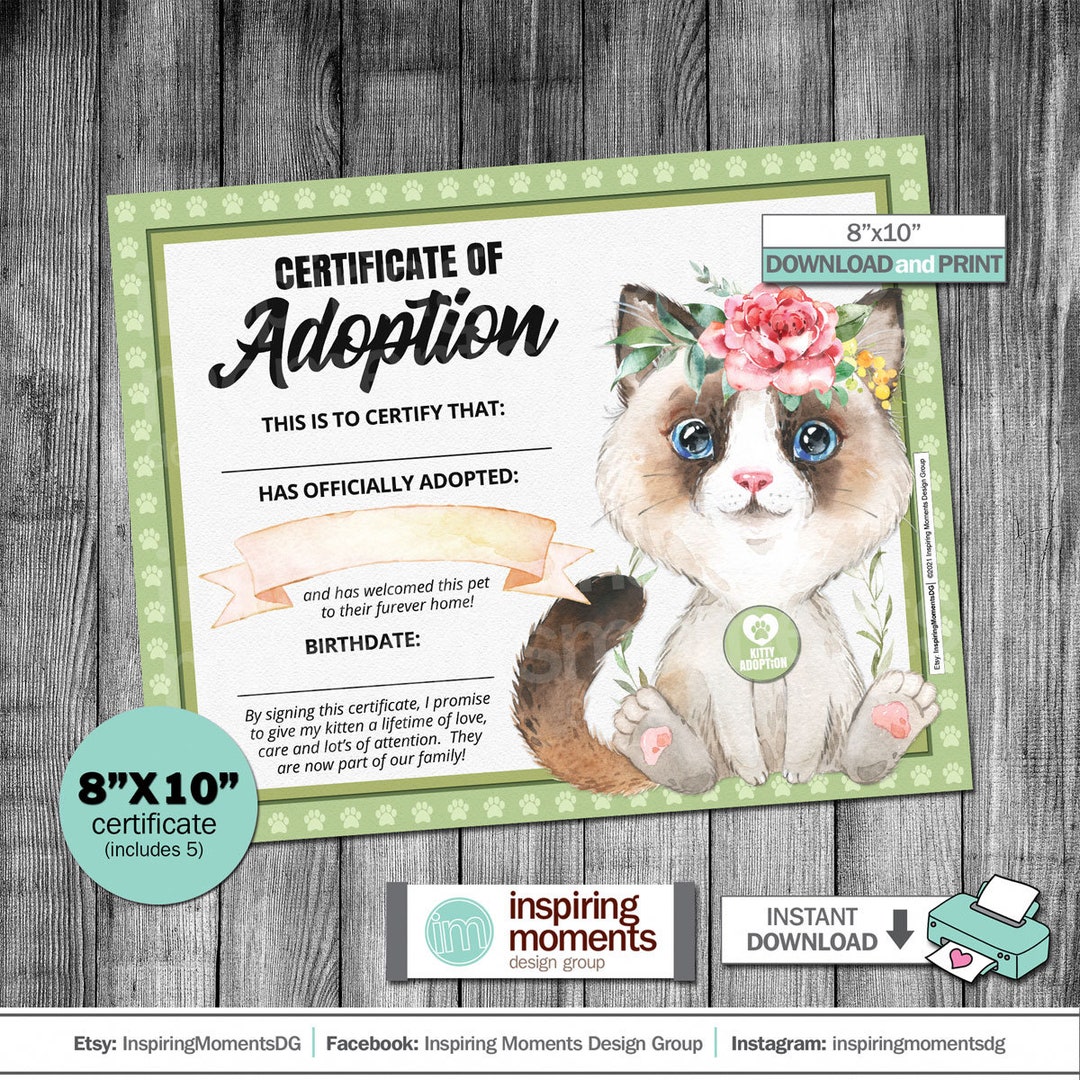 Cat Adoption Certificate: 8x10 Pet Adoption Keepsake (PDF) - Etsy