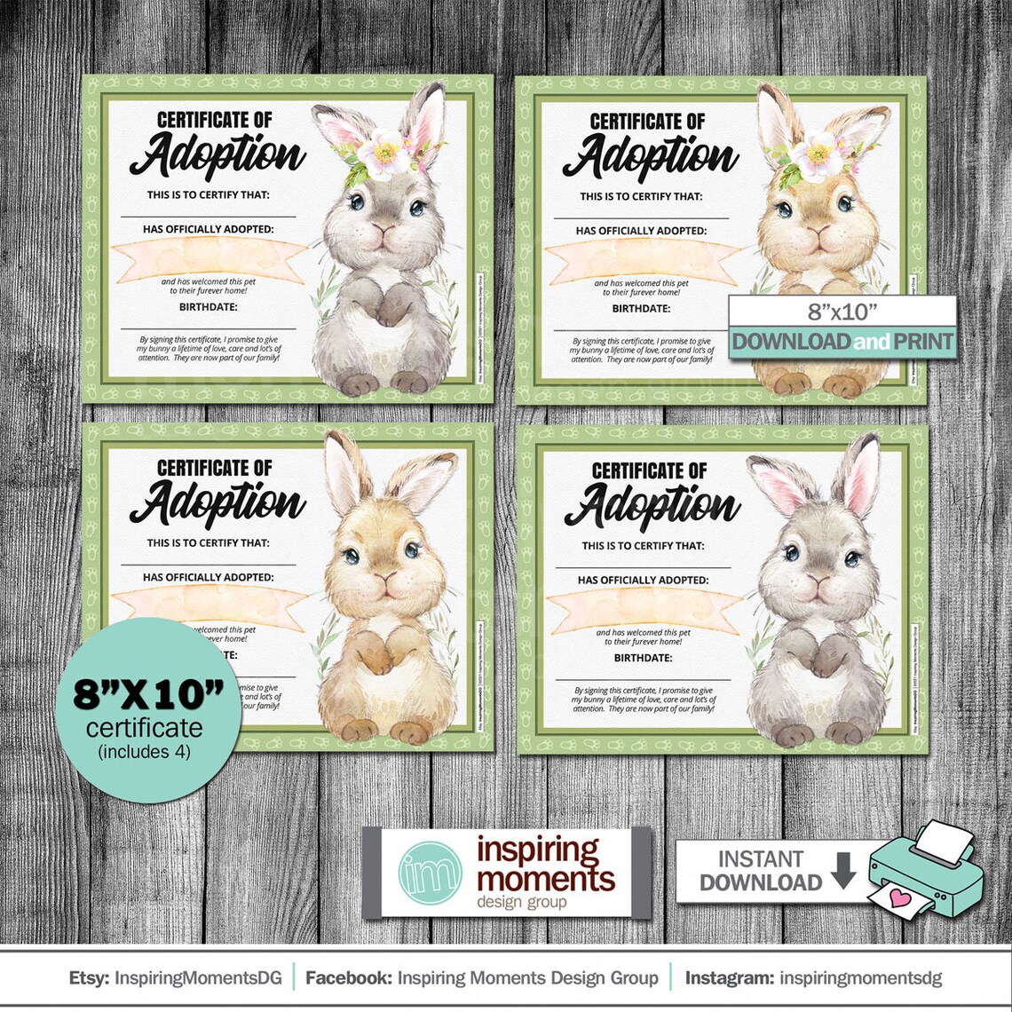 Bunny Adoption Certificate Pet Adoption Rabbit Pet Shop Pet - Etsy
