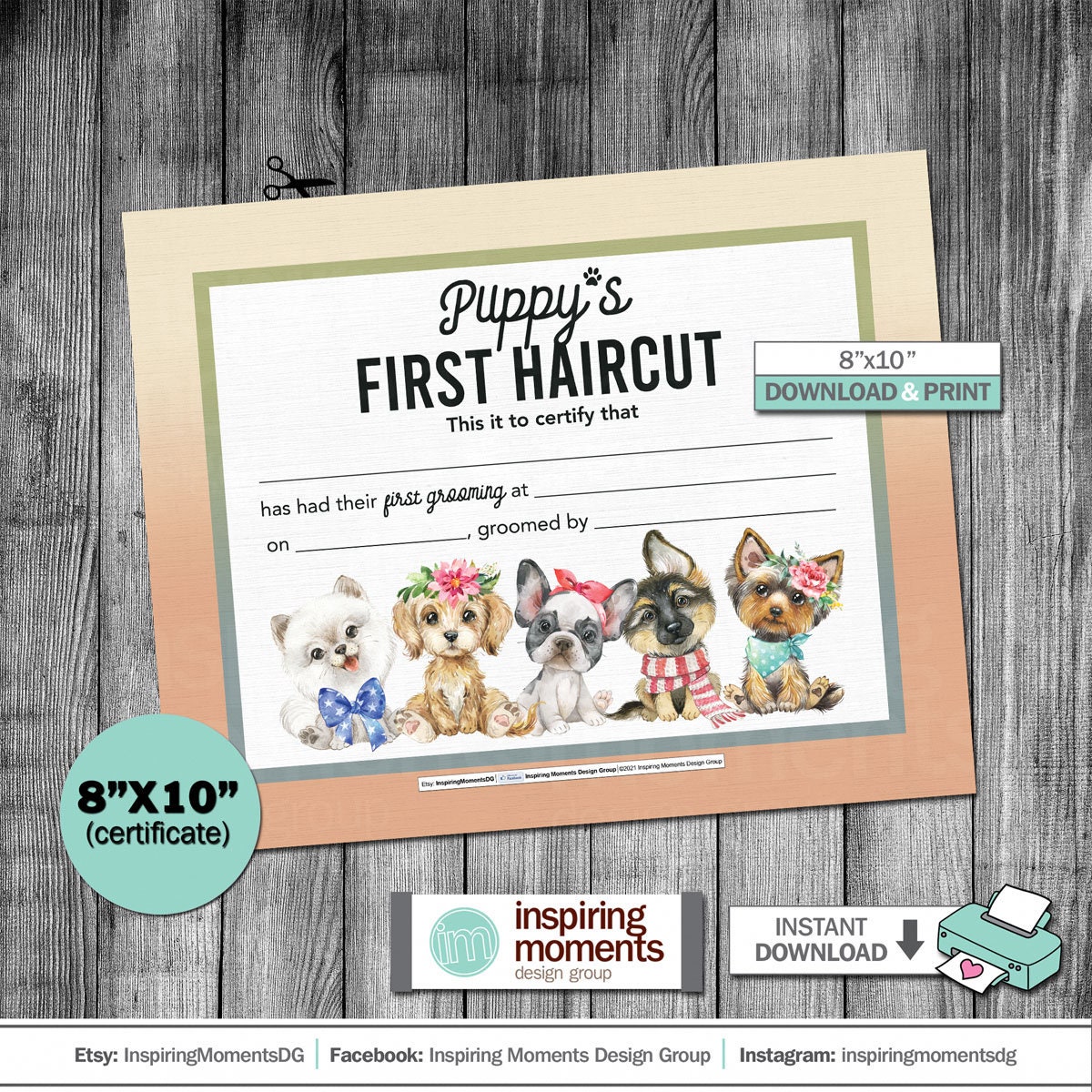 Do You Need A Certification To Be A Dog Groomer