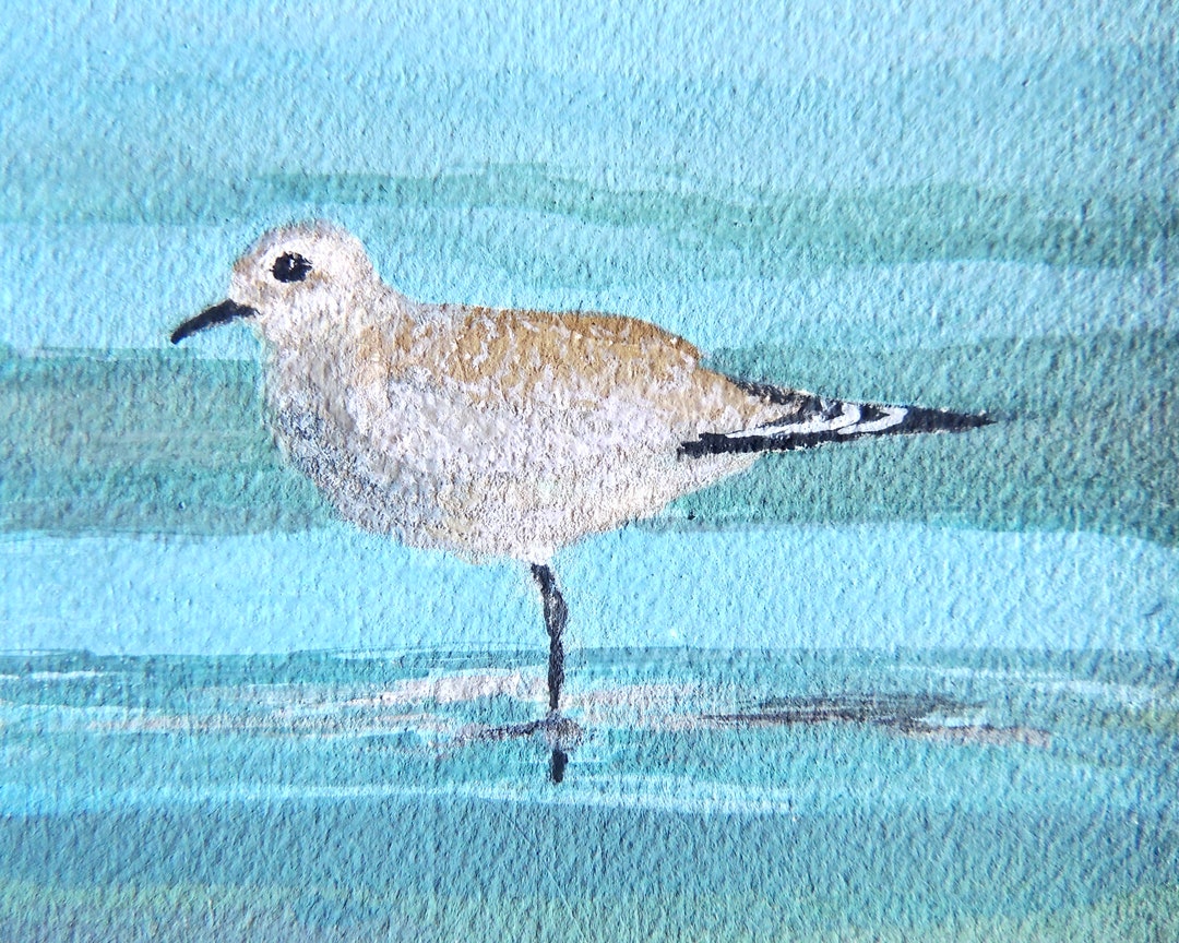 Sanderling Sandpiper Print of an Original Gouache and Watercolor ...