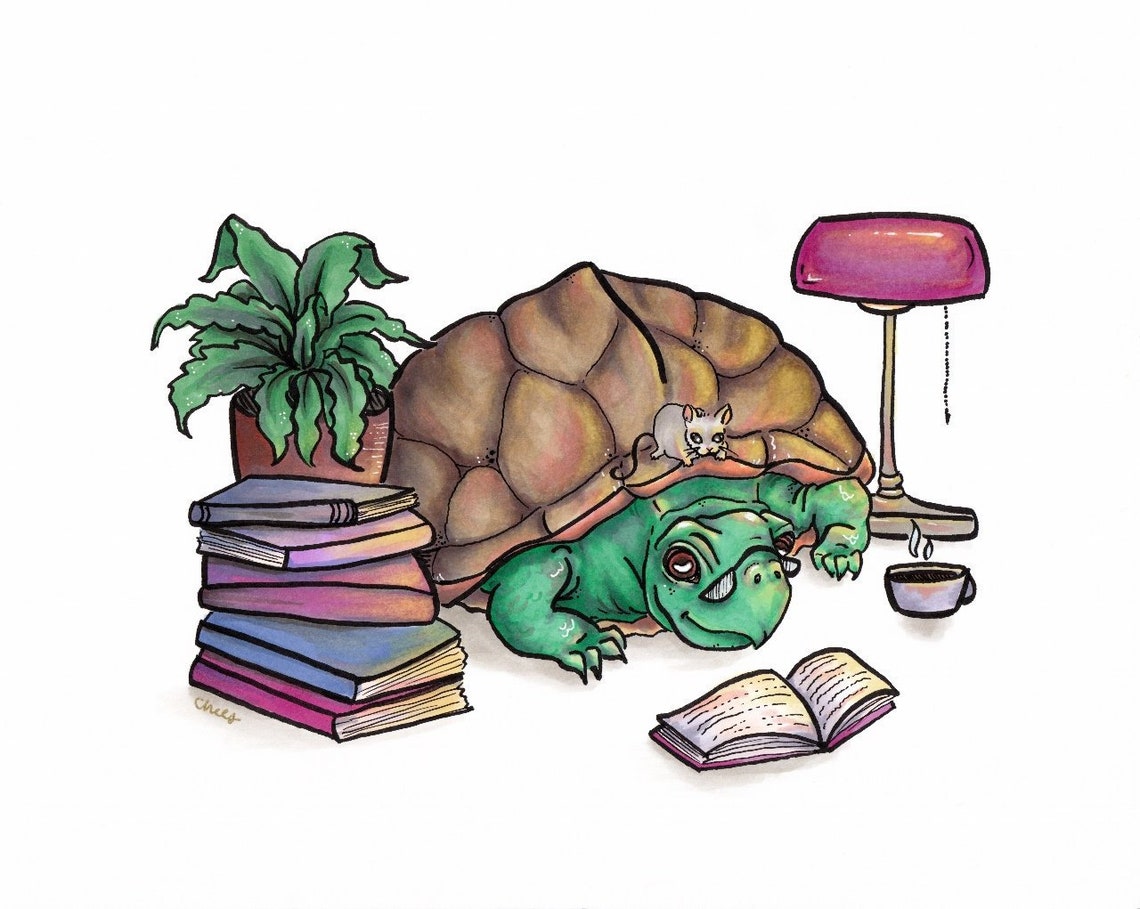 Reading Turtle Art Print / Librarian Gift / Teacher Gift / - Etsy