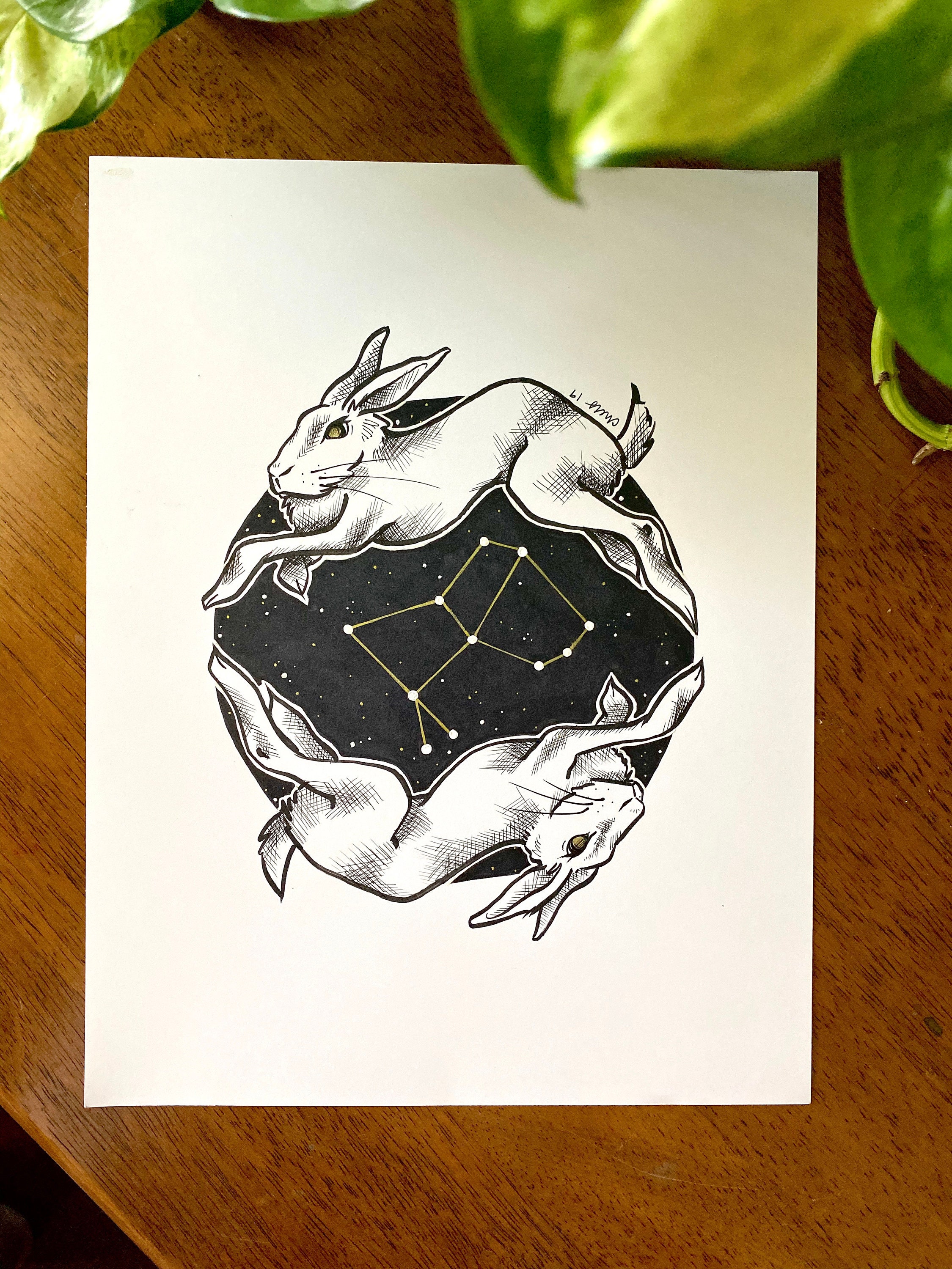 Rabbit Constellation Lepus / Black and White Art / Space and - Etsy