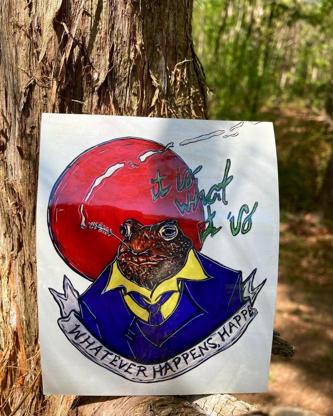 Cowboy Samurai Toad Sticker - Etsy