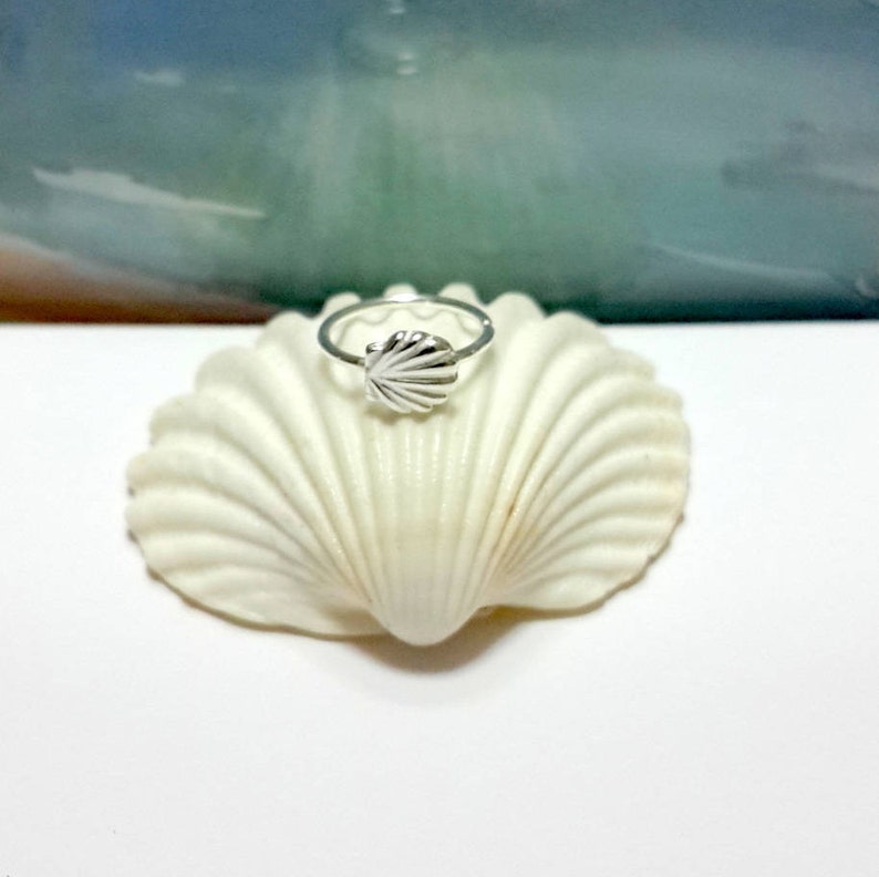 16g 18g 20g 22g Sterling Silver Seashell Helix Hoop-tragus Ring-lobe ...