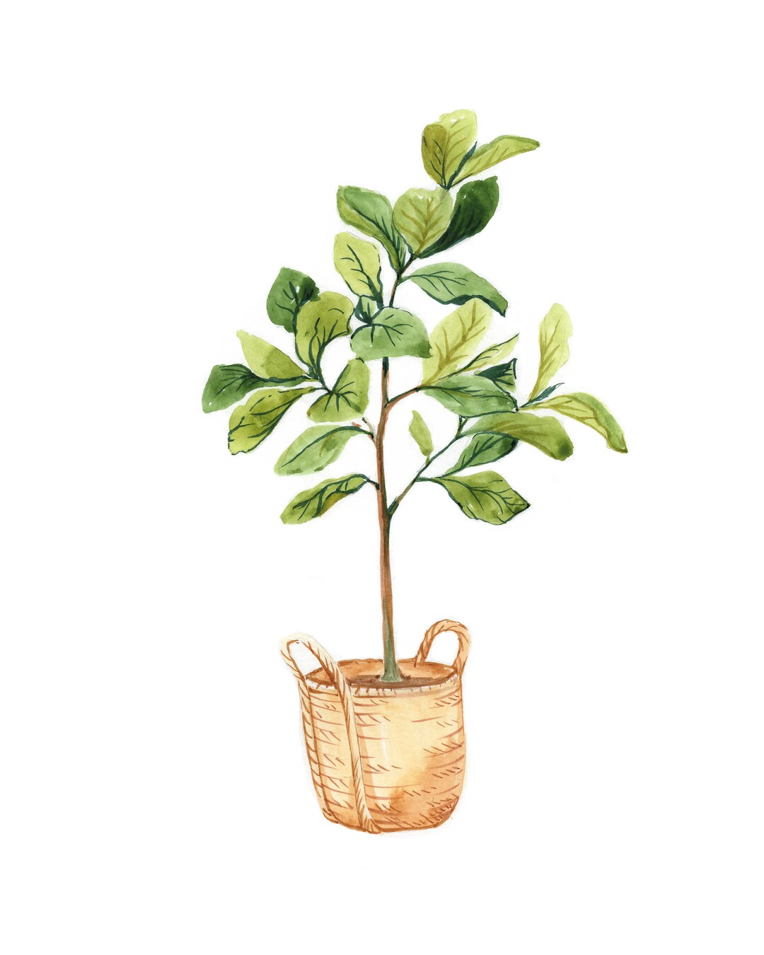 Fig Tree Art Print INSTANT DOWNLOAD (topiary Art- Decorative Art Print ...