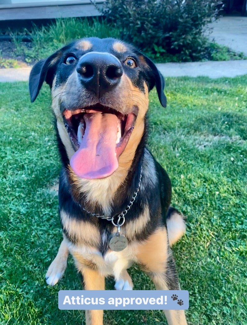 Taylor Sticker Pack Rep Waterproof Vinyl Stickers - Etsy