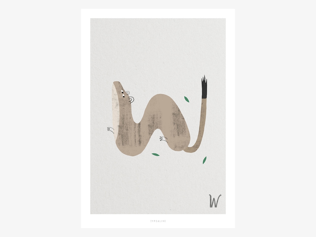 Poster Mural / ABC Kids W / ABC Poster, Animal Alphabet, Letters ...
