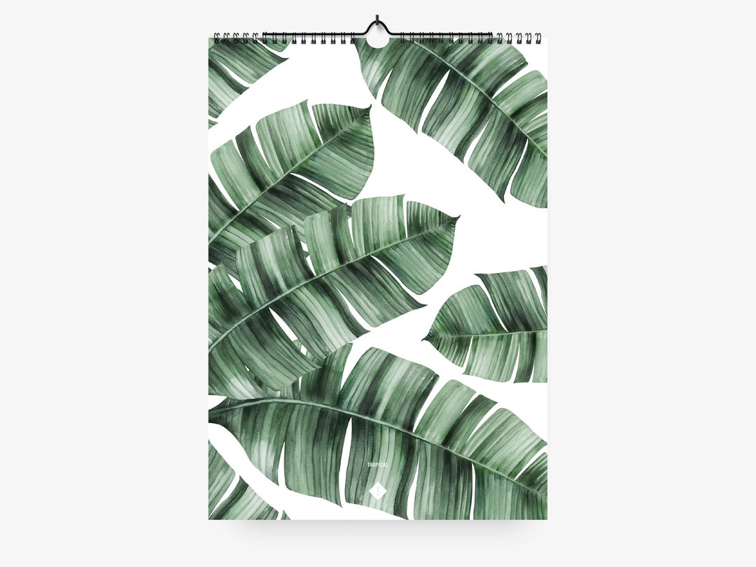 Wall Calendar / TROPICAL / DIN A3, Tropical Plants, Calendar 2026 ...
