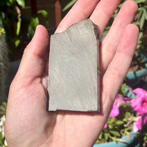Vibrant Blue-green Opalescent Ammolite Gem Specimen - Transformation ...