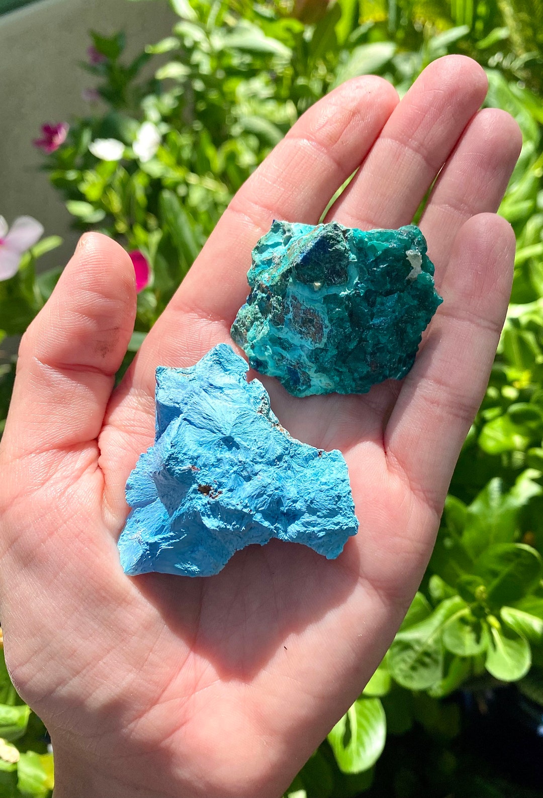 RARE Collectors Grade Set Raw Fibrous Shattuckite and Dioptase - Shaba ...
