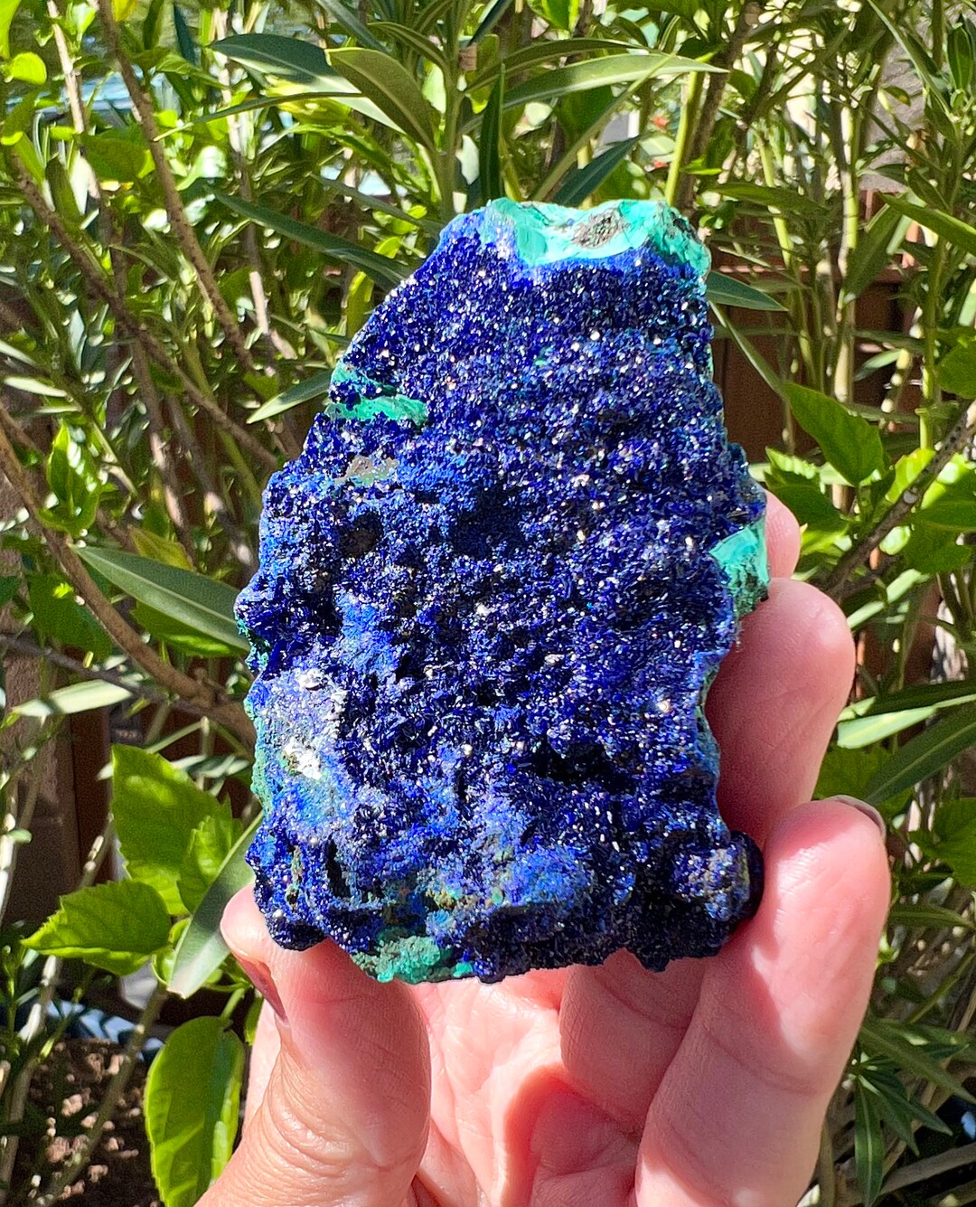 3.0” Rare Raw Dazzling Starry Night Azurite Druzy With Malachite - Etsy
