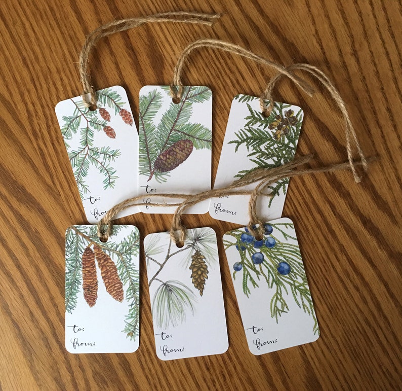 Set of 6 Native Plant Evergreen Gift Tags | Etsy