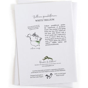 NEW: Trillium Wildflower Botanical Illustration Card, Native Plants ...