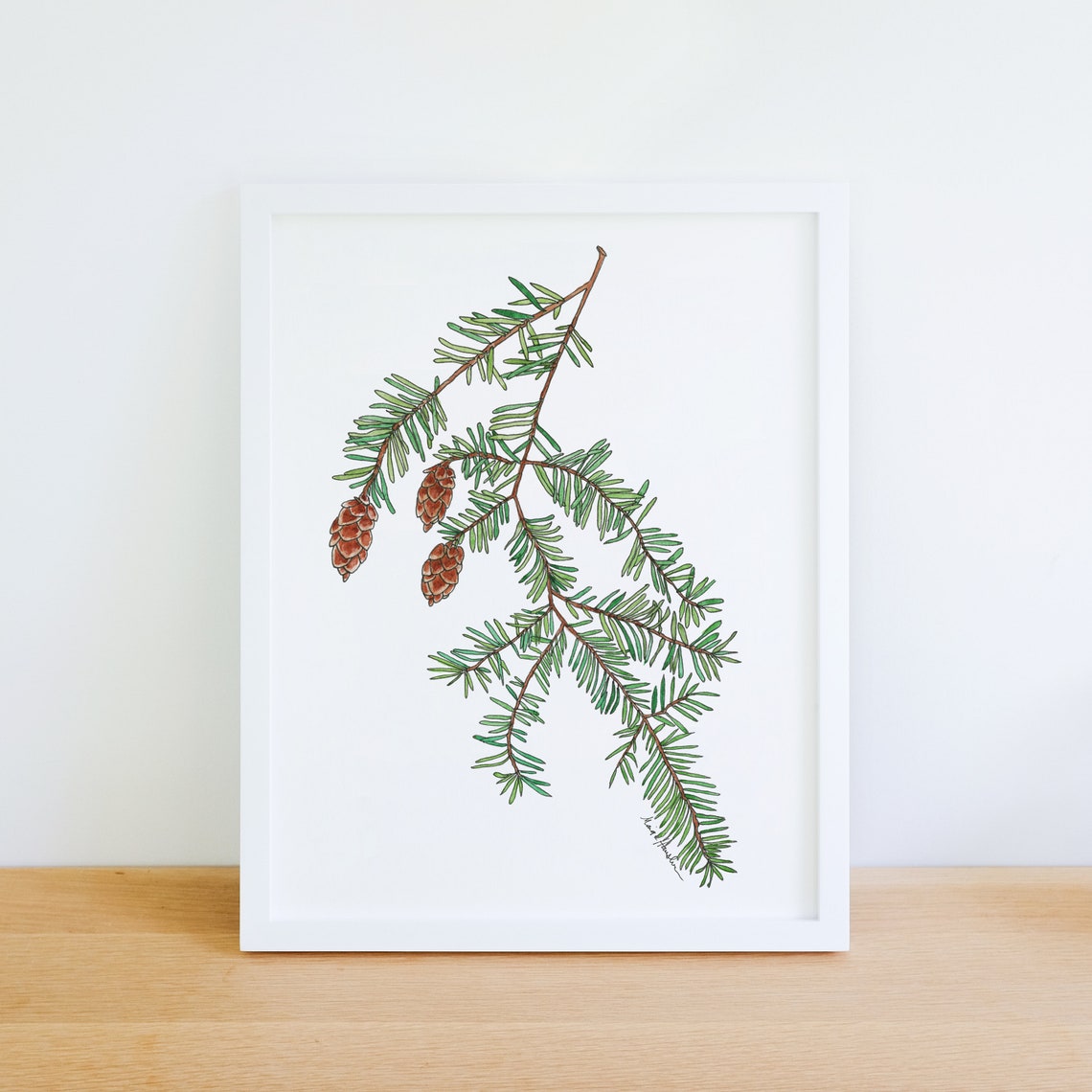 Hemlock Evergreen Tree Winter Native Plant 8x10 Archival Print - Etsy
