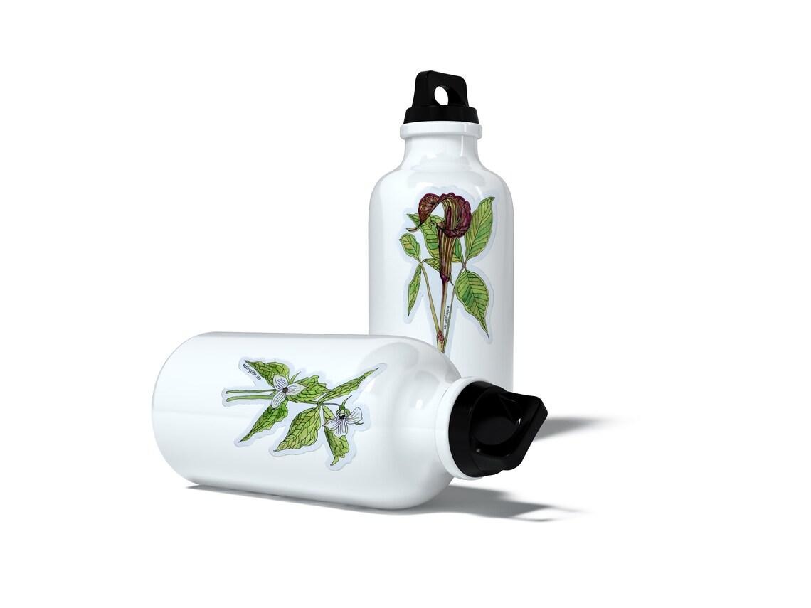 Jack in the Pulpit Wildflower Flower Plant Vinyl Sticker, Botanical ...