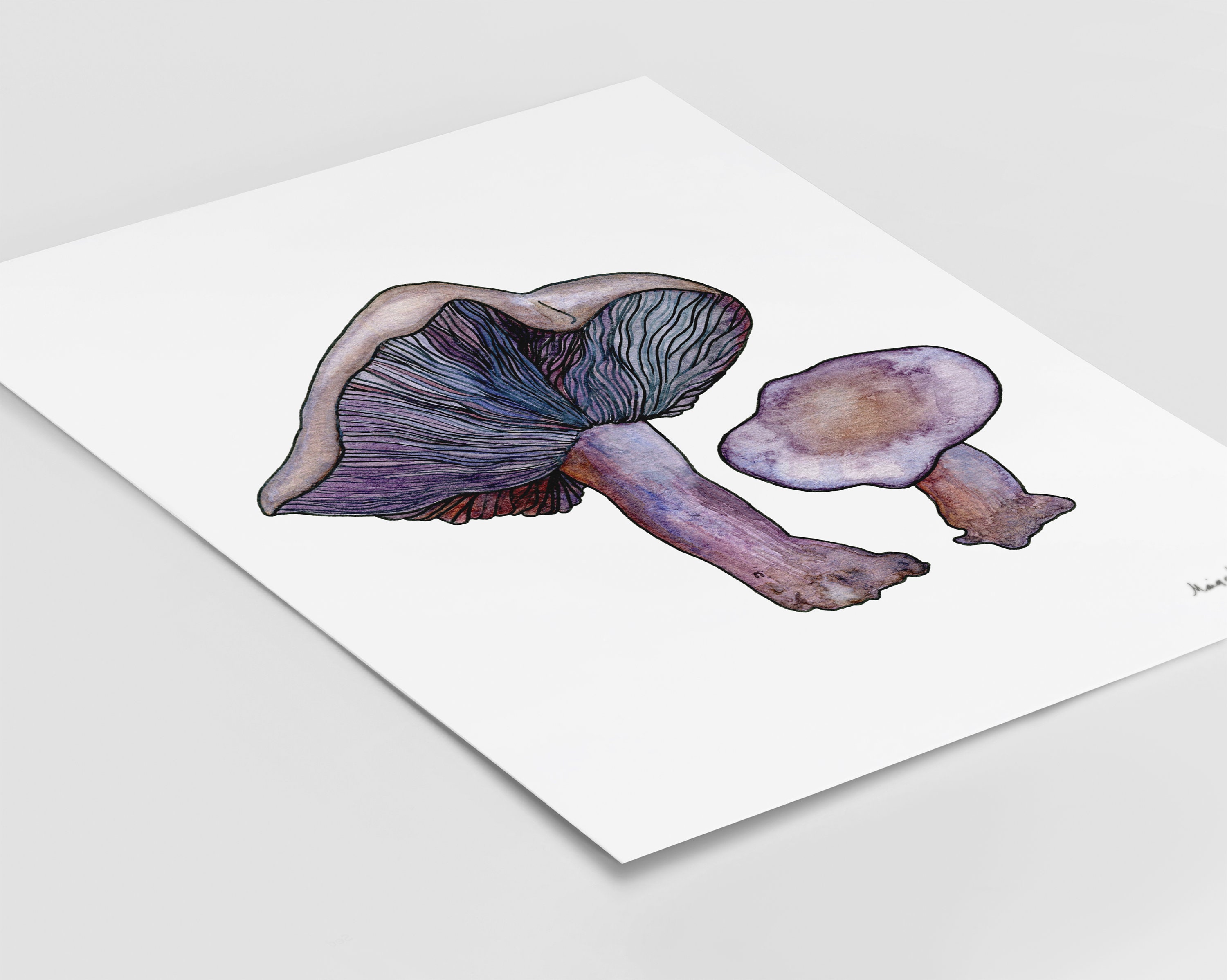 Blewit Mushroom 8x10 Archival Print - Etsy
