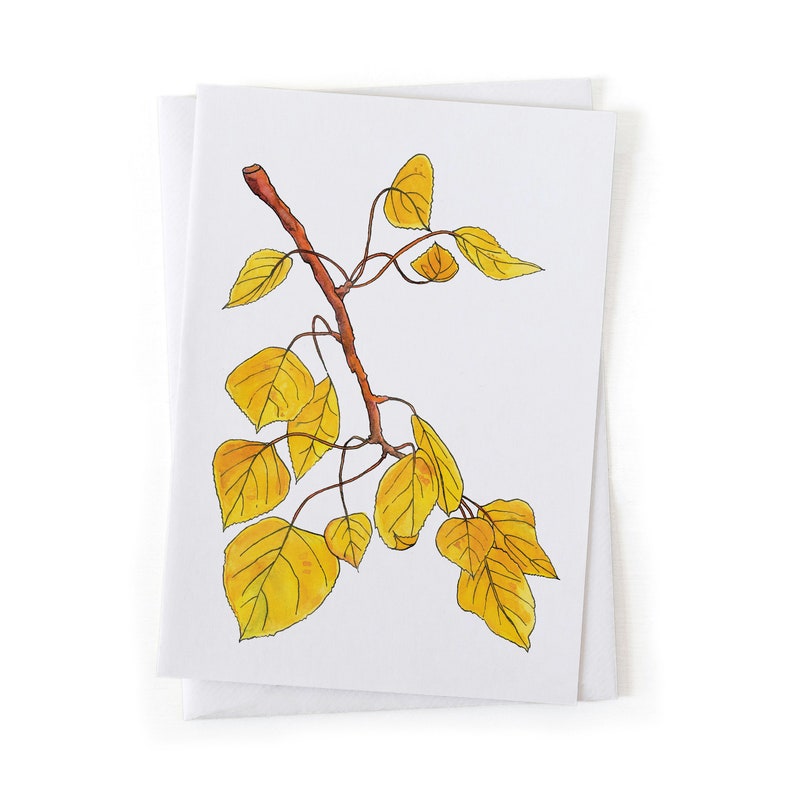 Quaking Aspen - Etsy