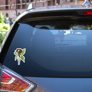 Jack in the Pulpit Wildflower Flower Plant Vinyl Sticker, Botanical ...