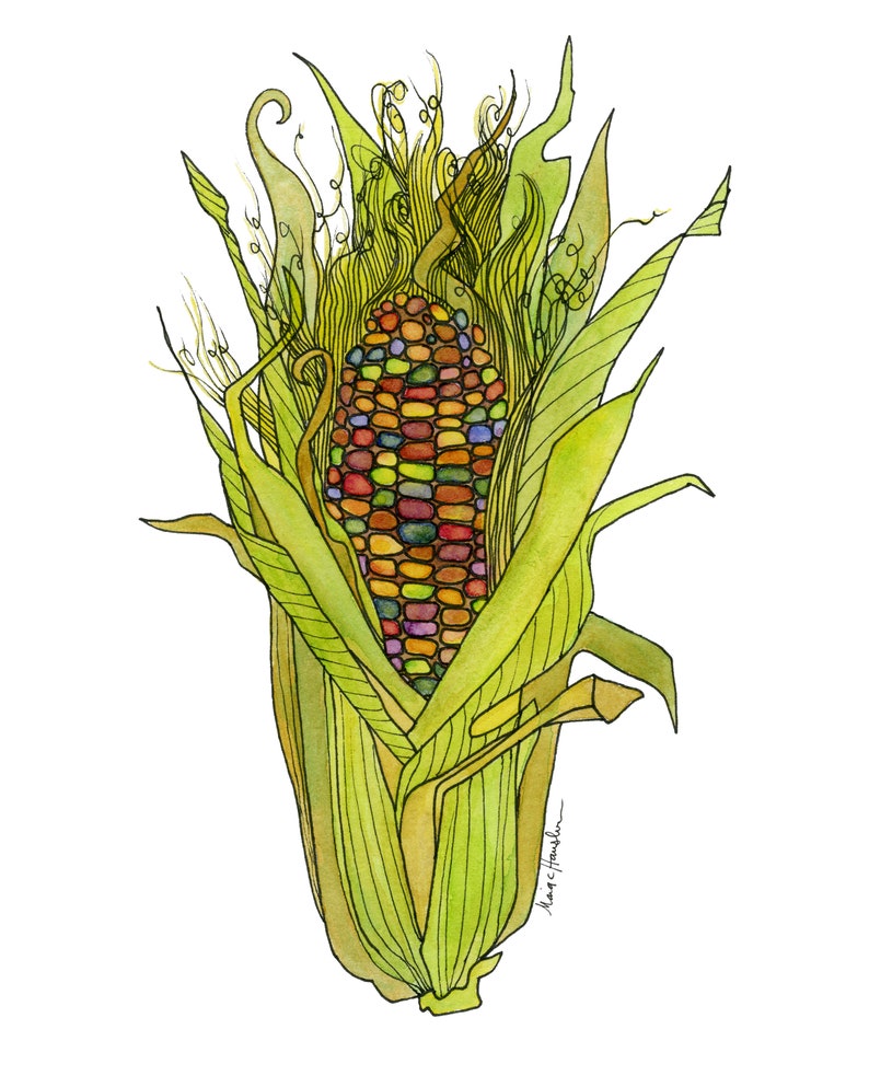 Maize Rainbow Corn 8x10 Archival Print | Etsy