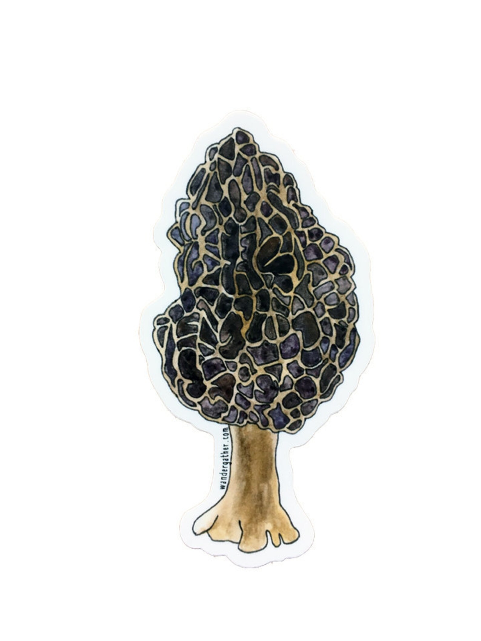 Morel Mushroom Vinyl Sticker, Watercolor Illustration Morchella - Etsy