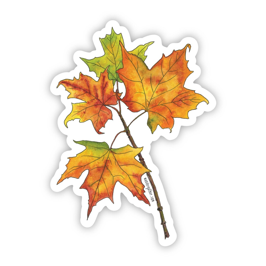 Sugar Maple Tree Fall Leaves Vinyl Sticker, Cute Watercolor Botanical ...