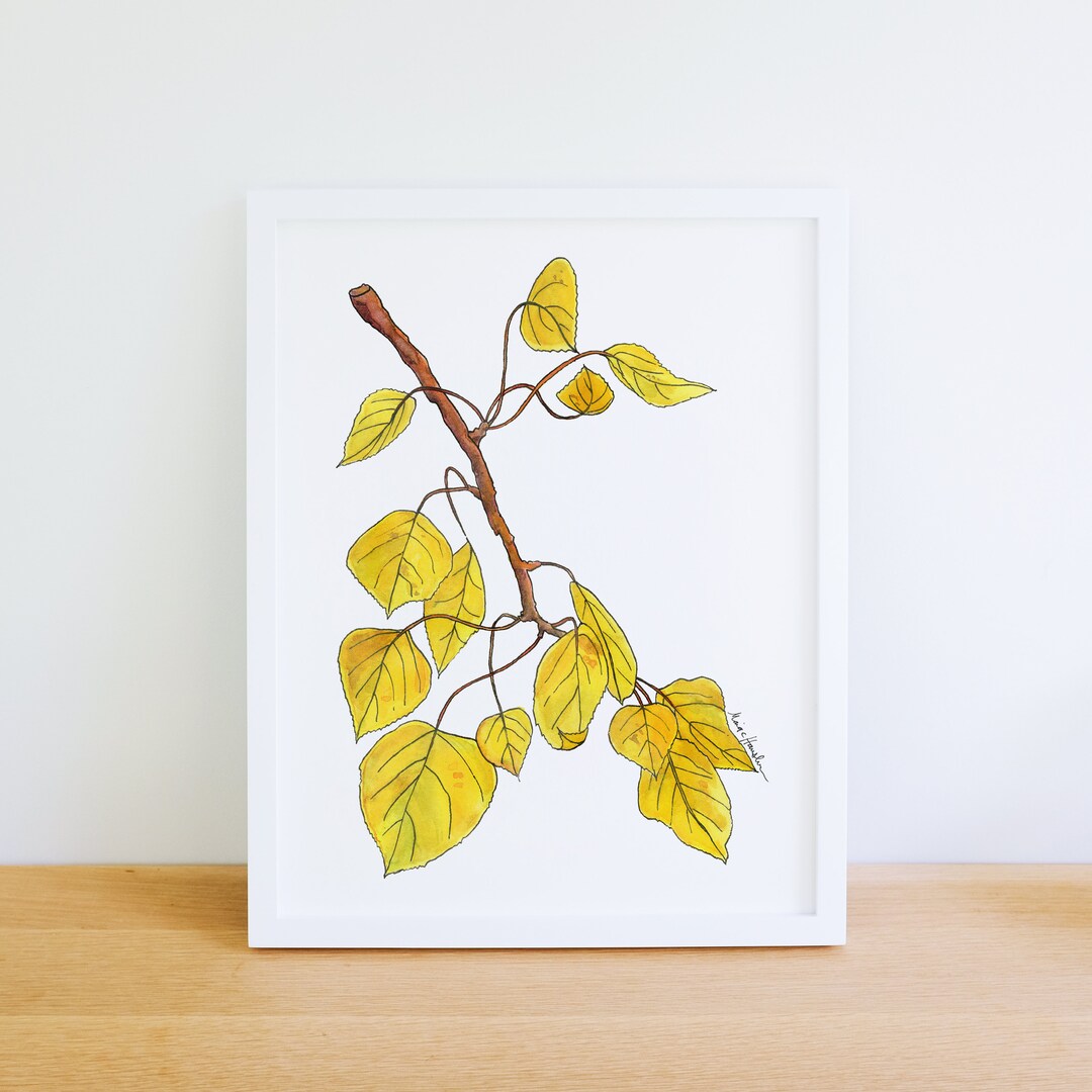 Quaking Aspen Tree Autumn Native Plant Branch 8x10 Archival Print - Etsy