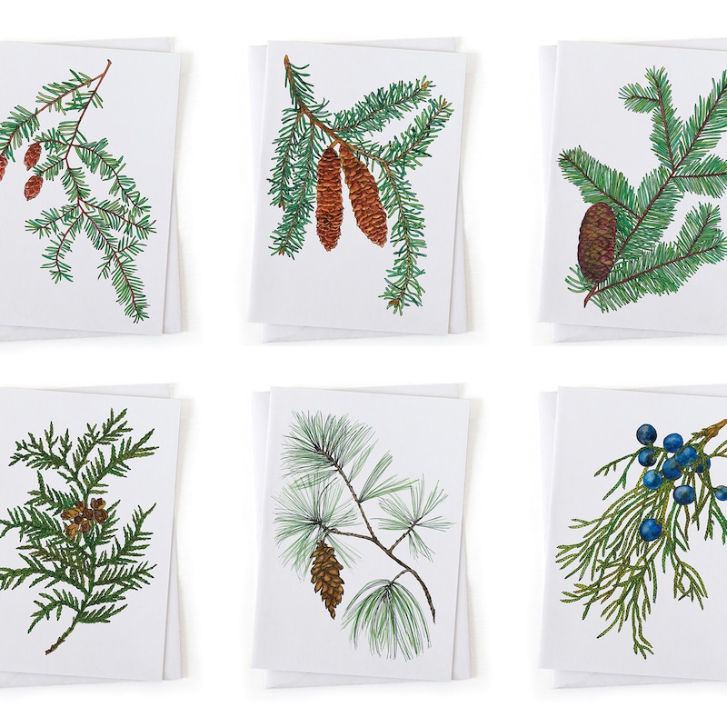 Plant Cards - Etsy