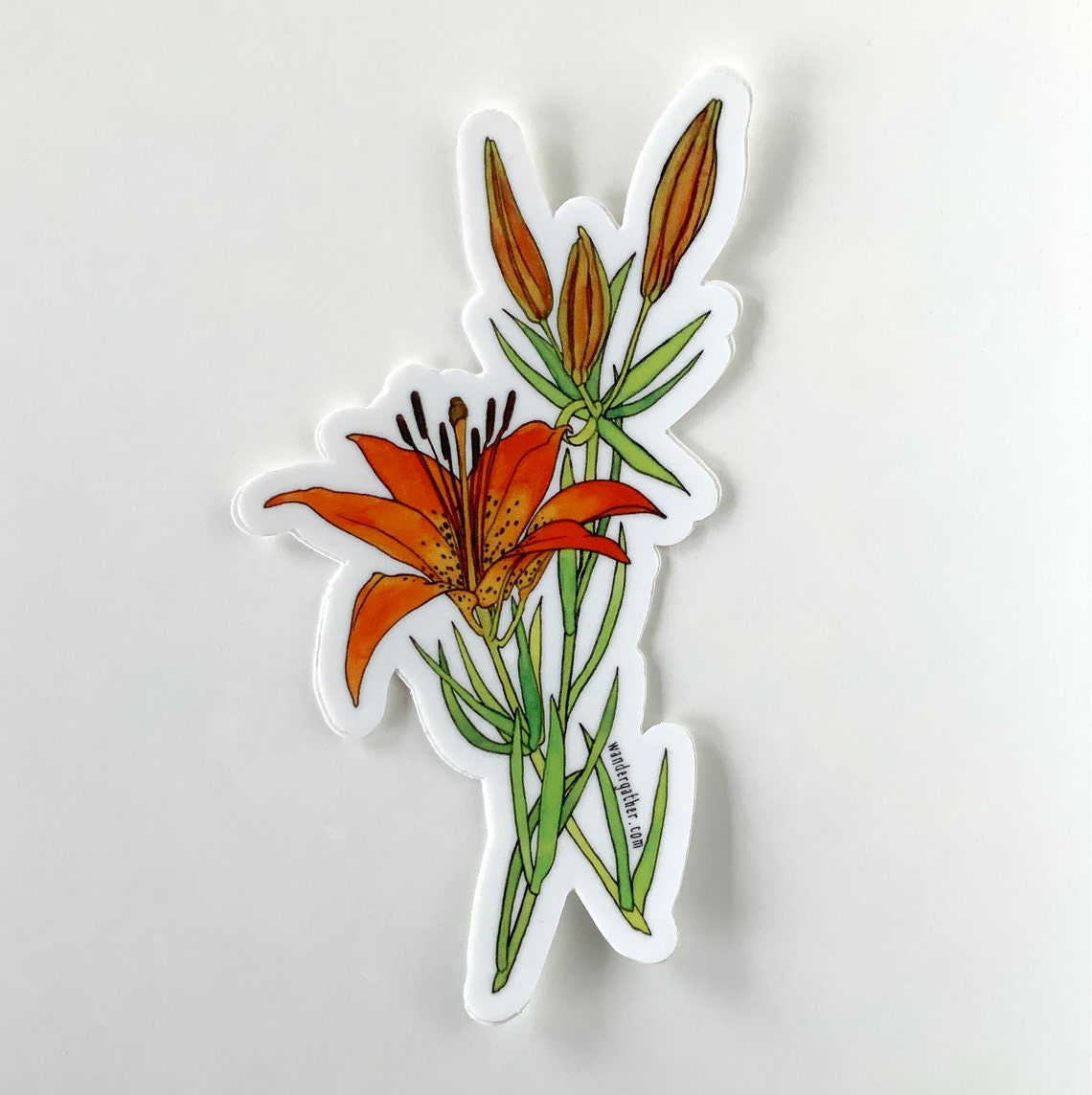 Autocollant de vinyle de plante de fleur de fleur de bois - Etsy France