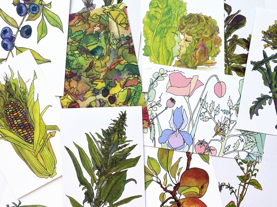 Vegetable Garden Postcards Set of 10 Random Cards - Etsy